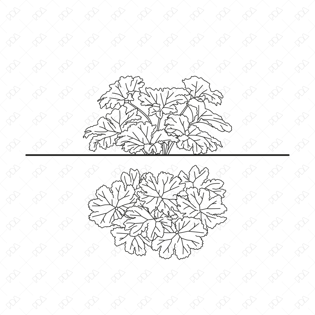 CAD, Vector Tropical Plants Set (Top + Side view)