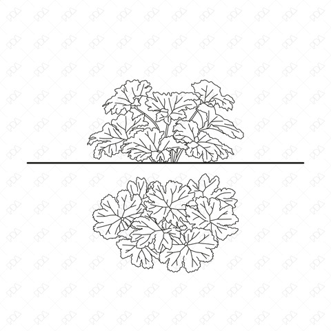 CAD, Vector Tropical Plants Set (Top + Side view)