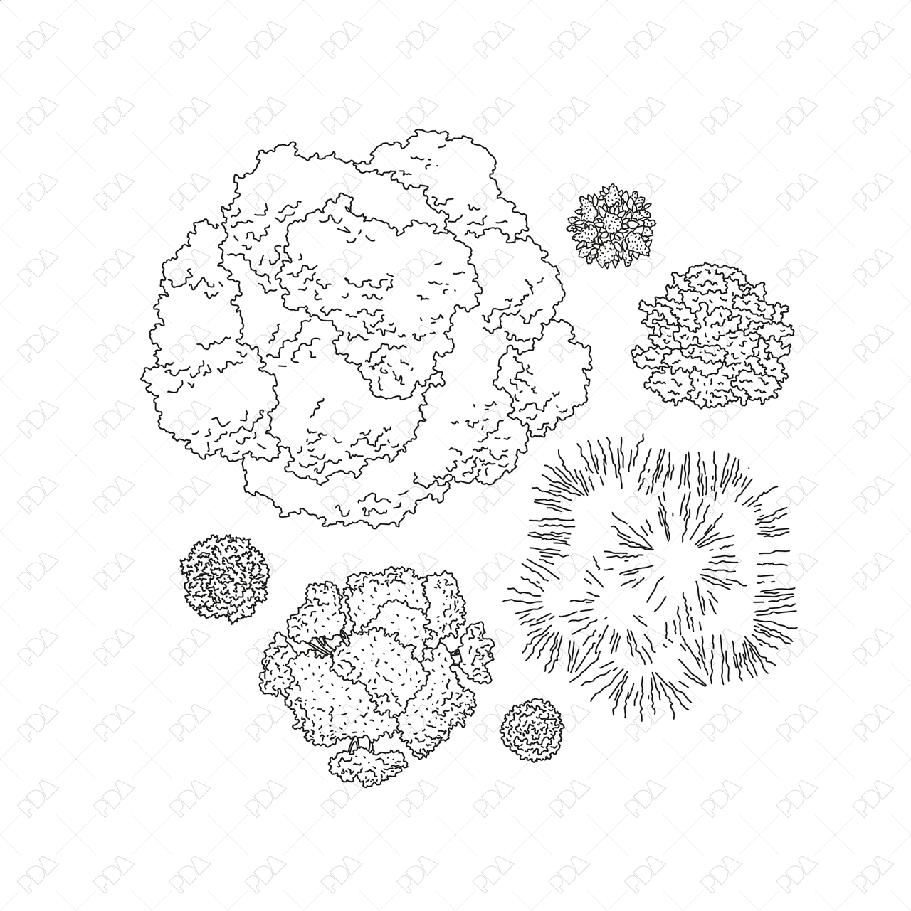 CAD & Vector European Trees & Plants Set