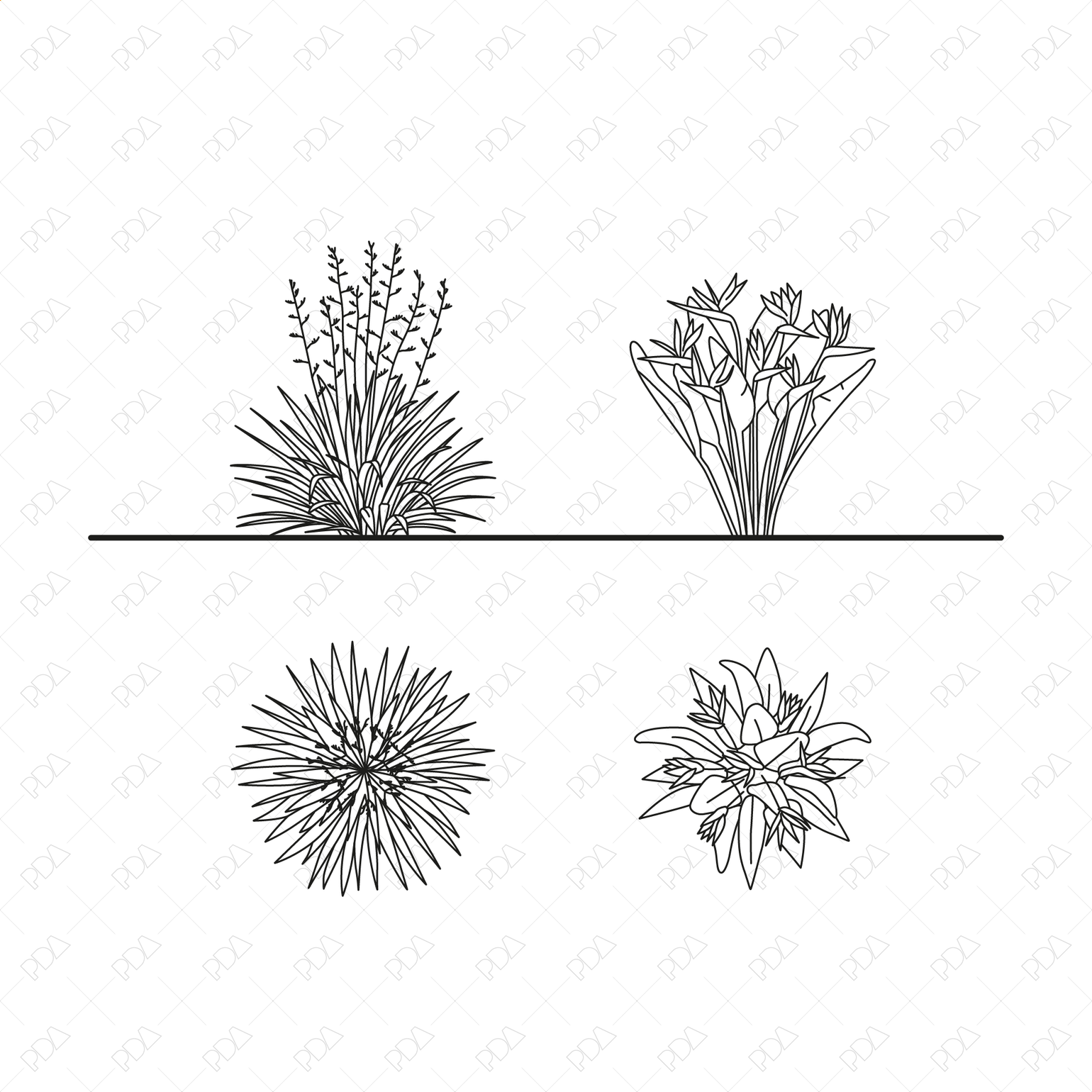CAD, Vector Tropical Plants Set (Top + Side view) – Post Digital ...