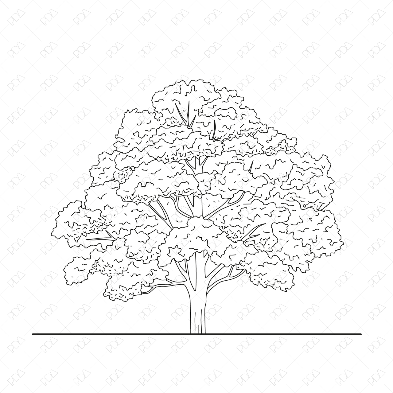 CAD and Vector European Trees and Plants Set (Top + Side view)