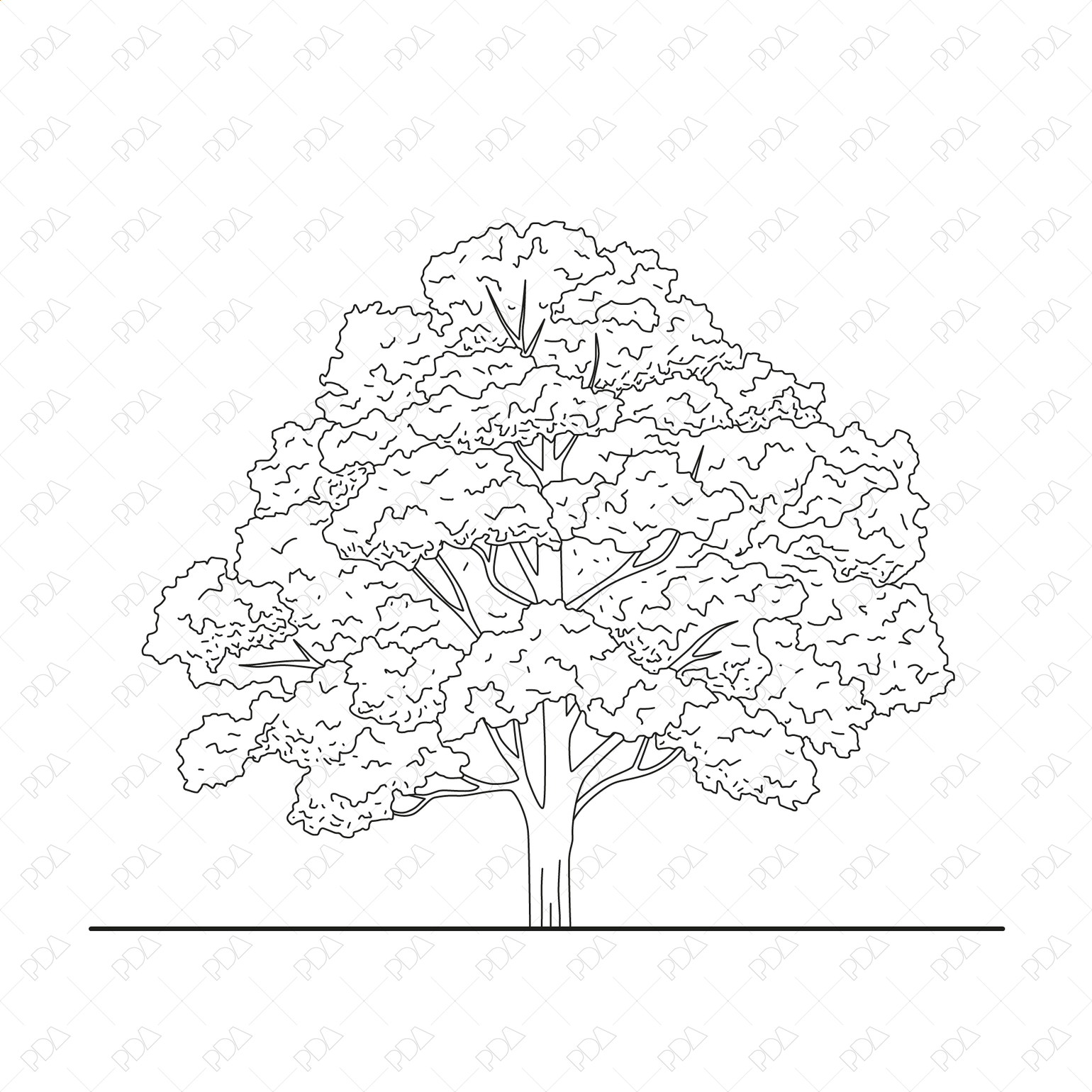 CAD & Vector European Trees & Plants Set