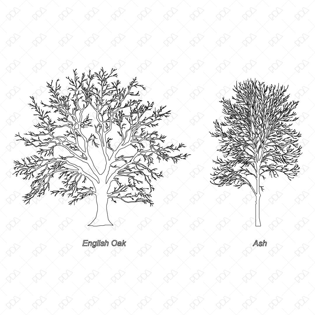 CAD & Vector Line Art Trees - Side View