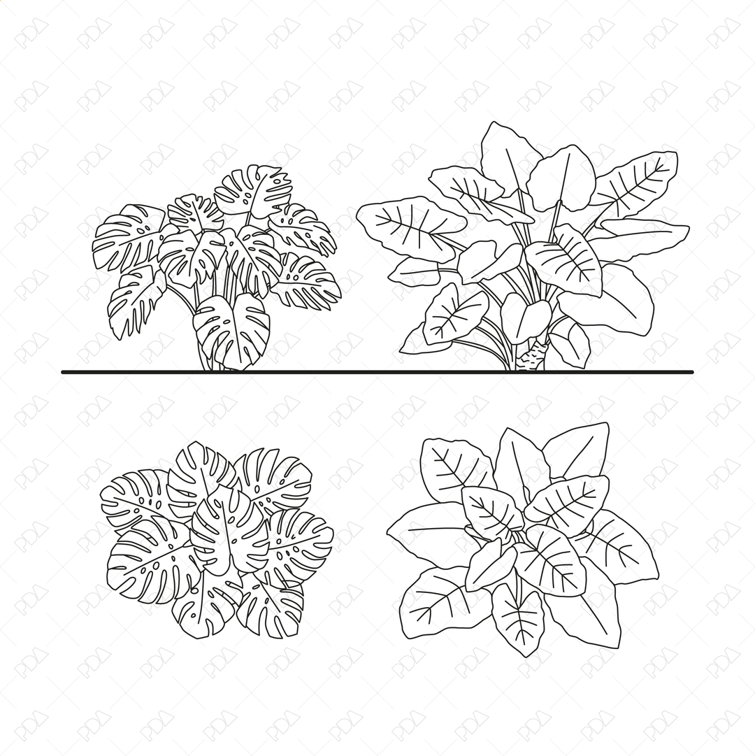 CAD, Vector Tropical Plants Set (Top + Side view)