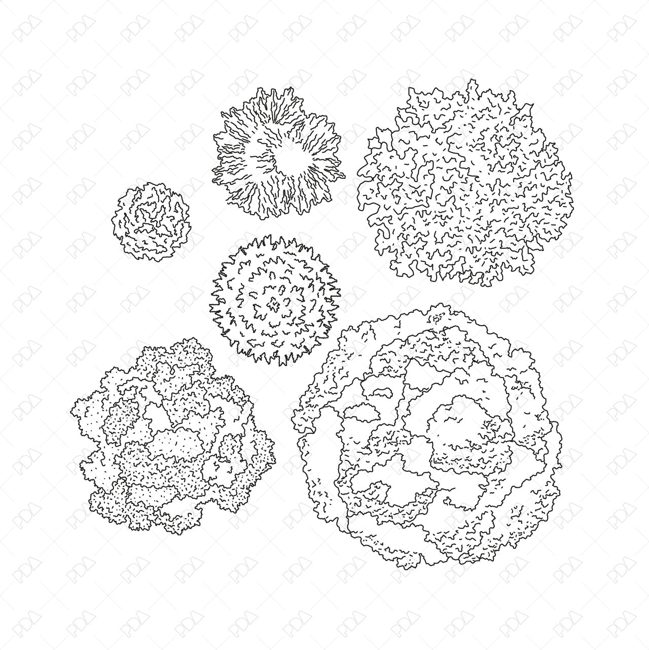 CAD & Vector European Trees & Plants Set