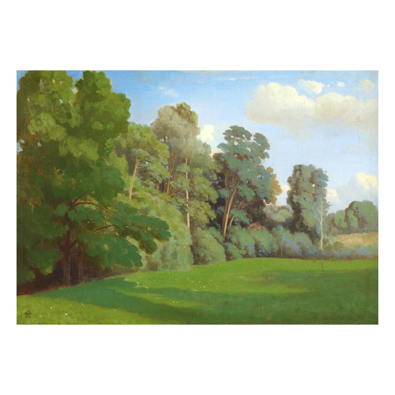 Forest and Woods Scenes Backgrounds Set (High Resolution)