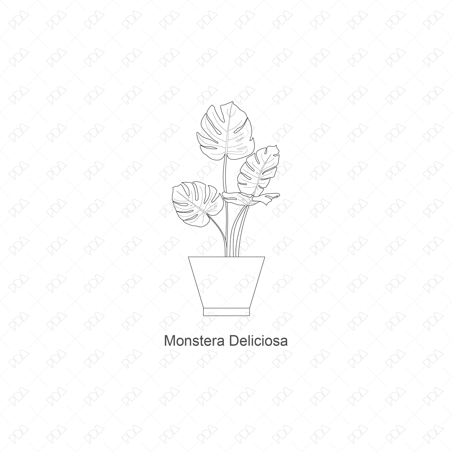 CAD, Vector Indoor Plants Set (Front view)