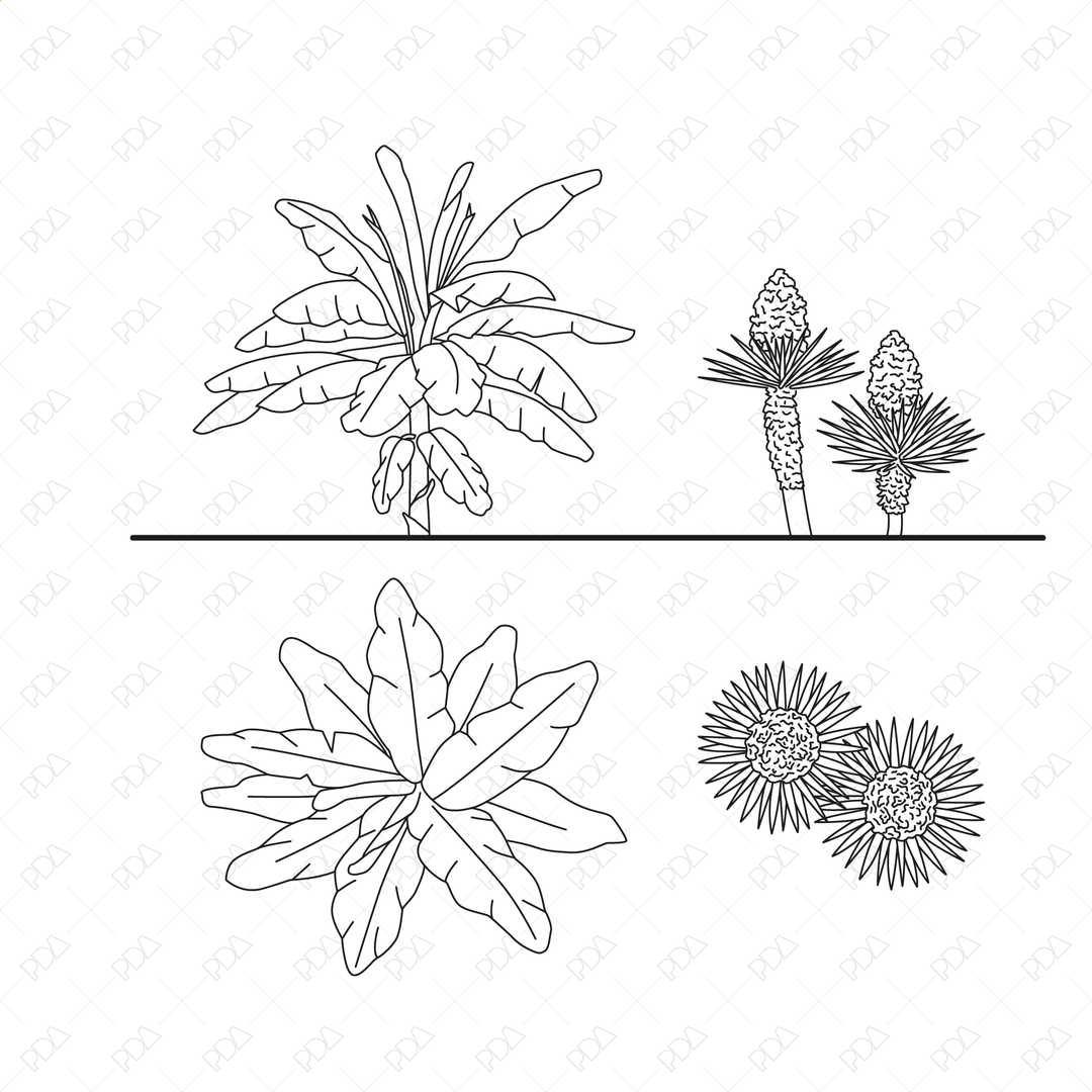 Revit Family Tropical Plants Set (Top + Side view) – Post Digital ...