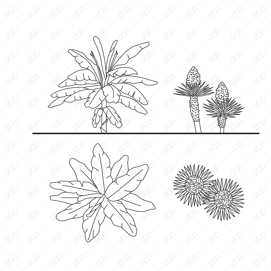 CAD, Vector Tropical Plants Set (Top + Side view)