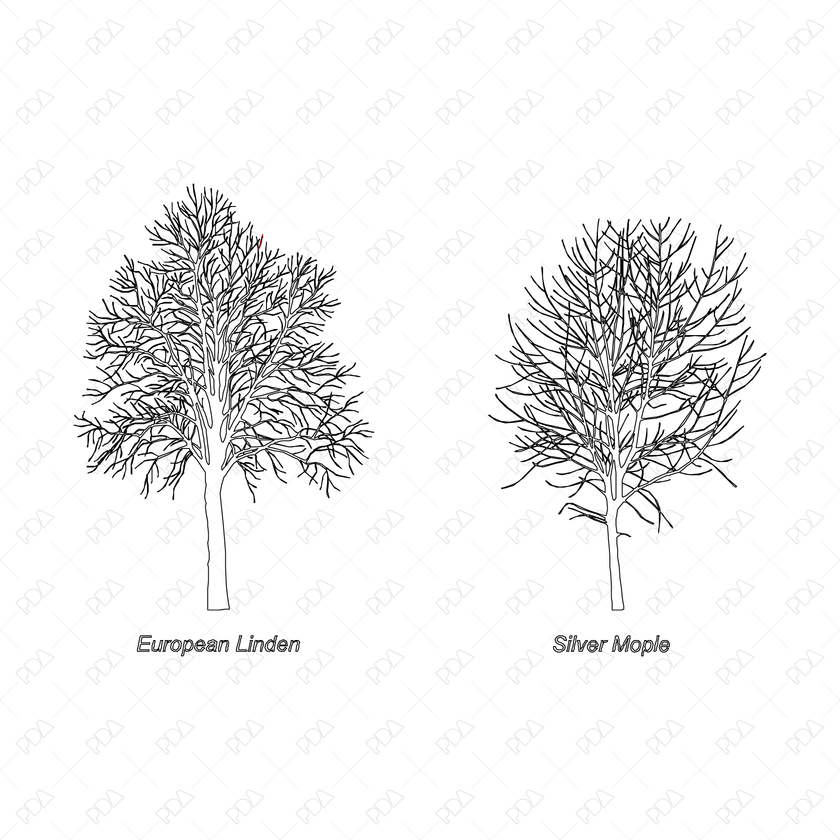 CAD & Vector Line Art Trees - Side View