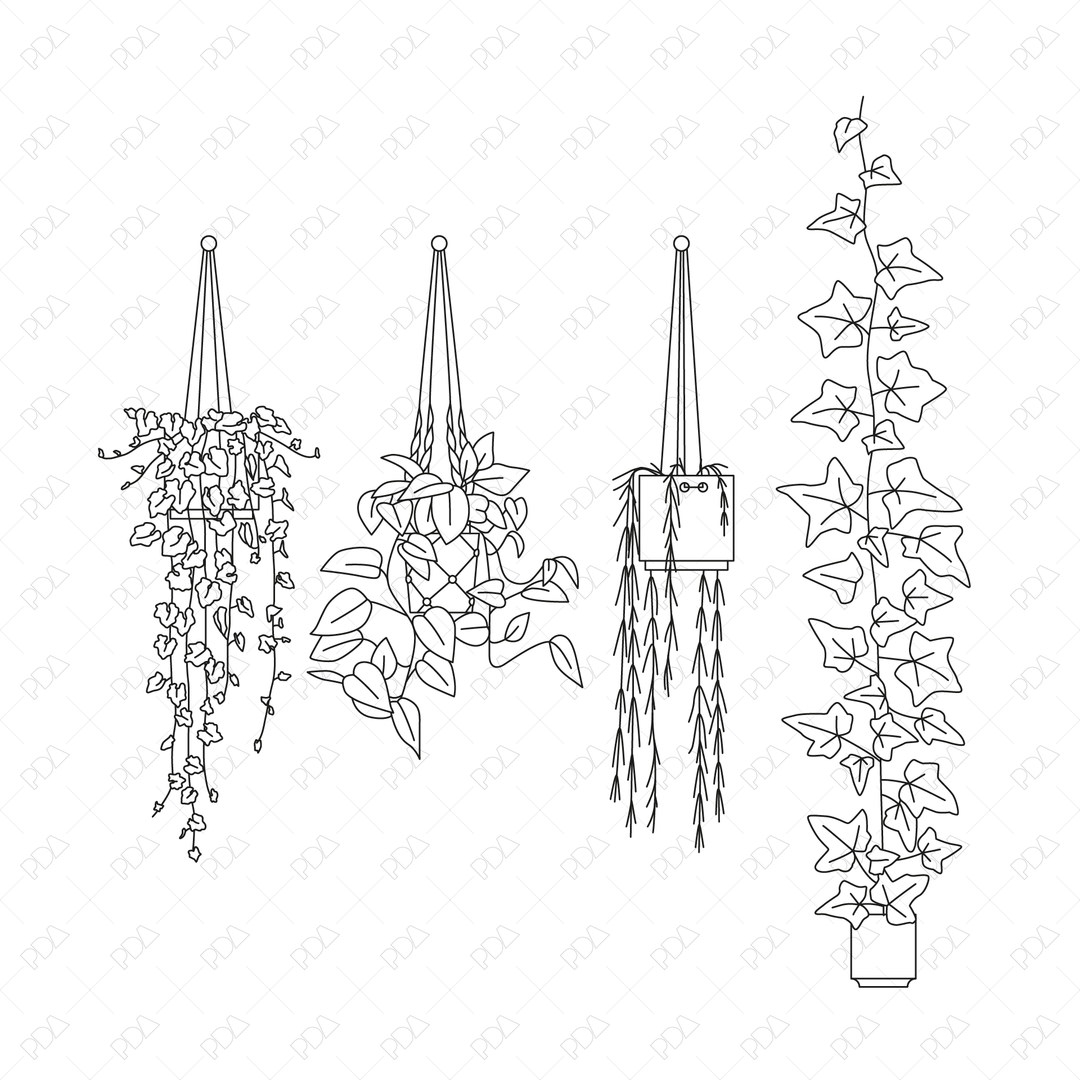 CAD & Vector Hanging Plants Set: Front & Side – Post Digital Architecture