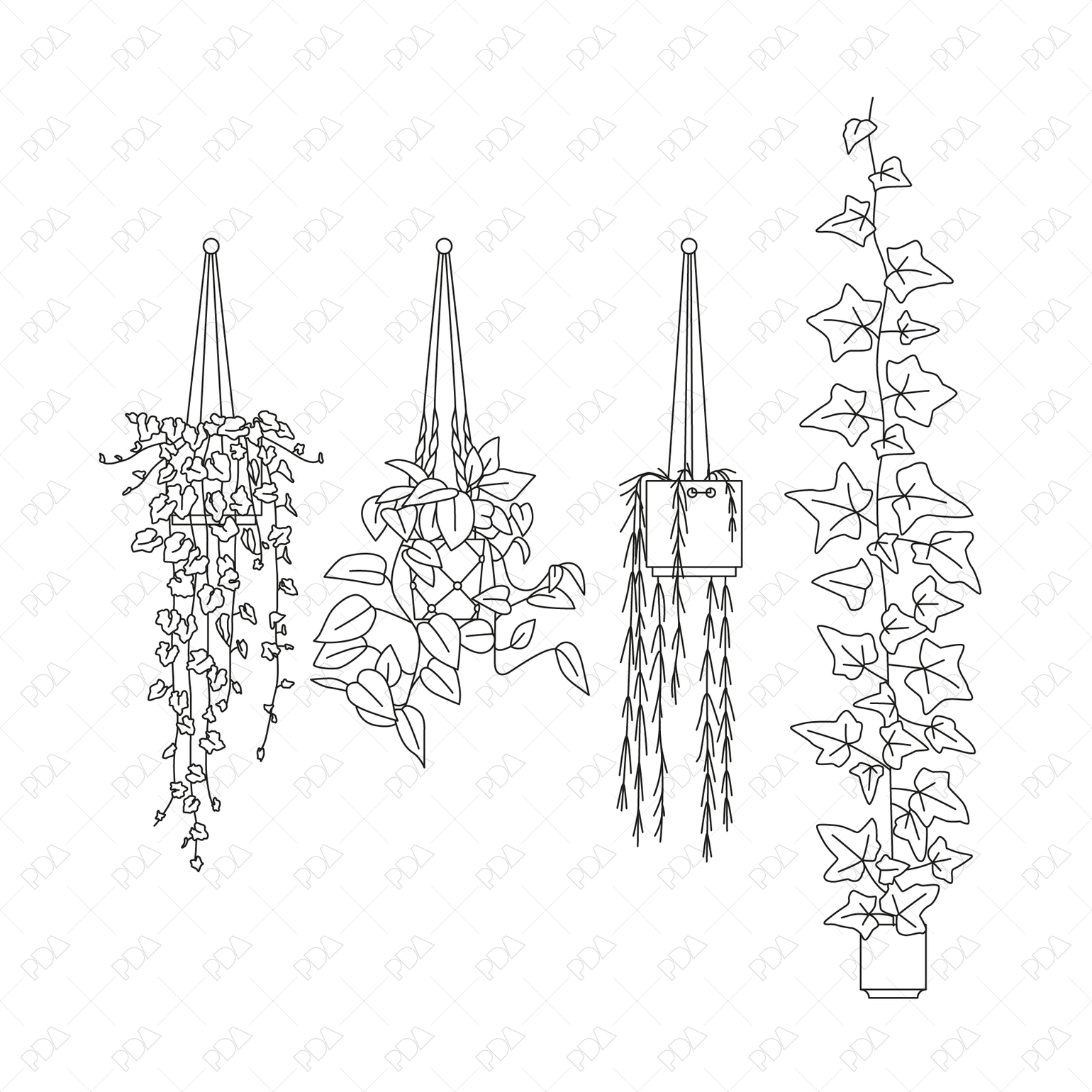 CAD & Vector Hanging Plants Set: Front & Side