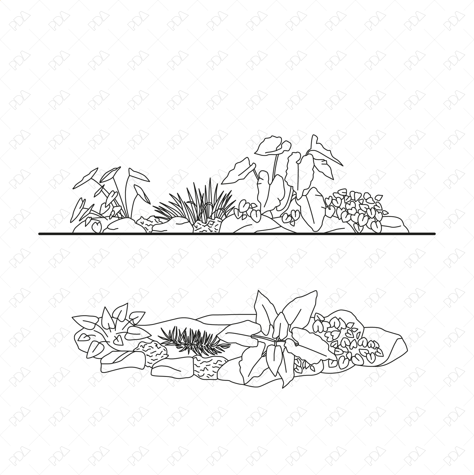 CAD, Vector Tropical Plants Set (Top + Side view)