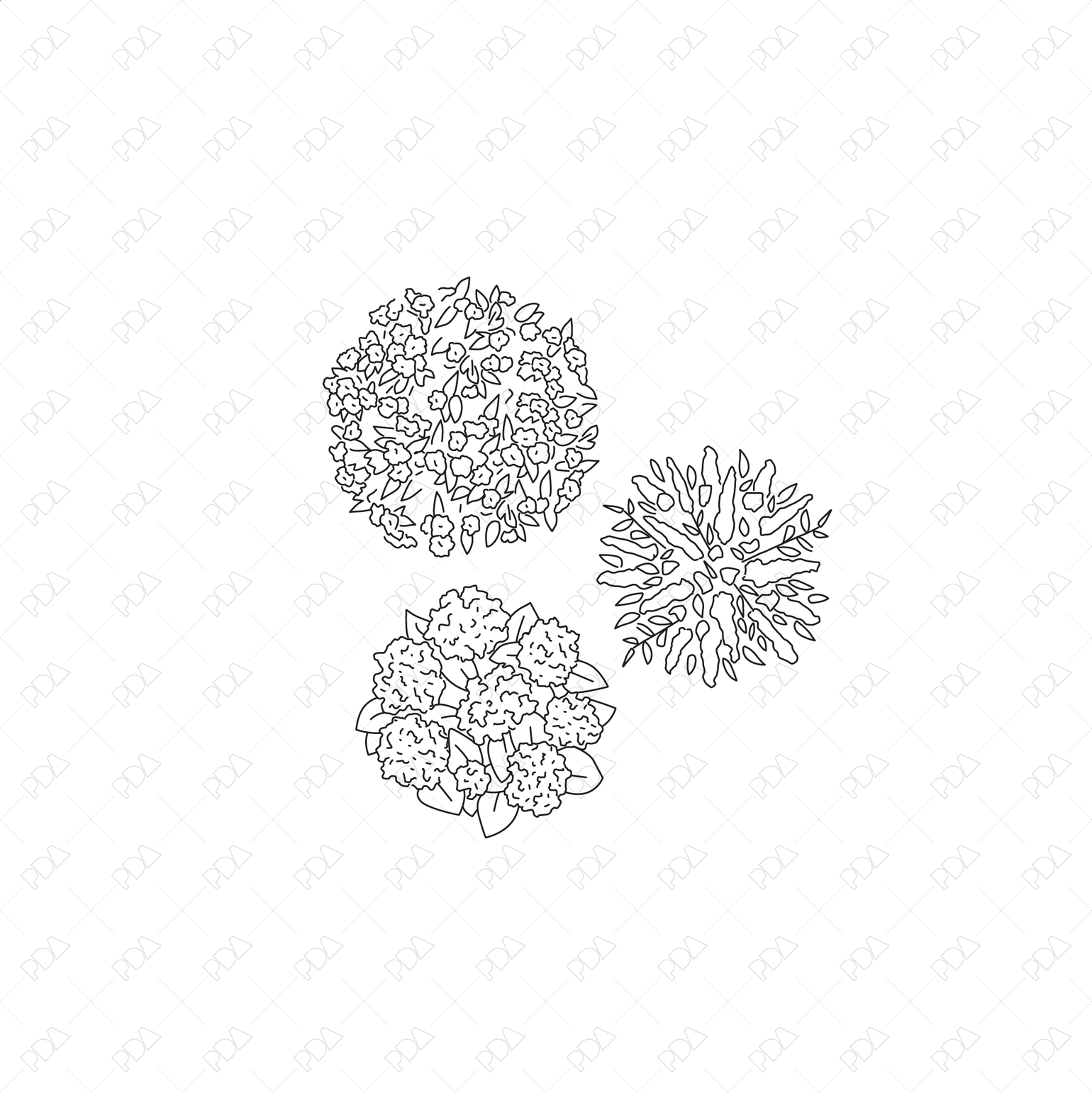 CAD & Vector European Trees & Plants Set