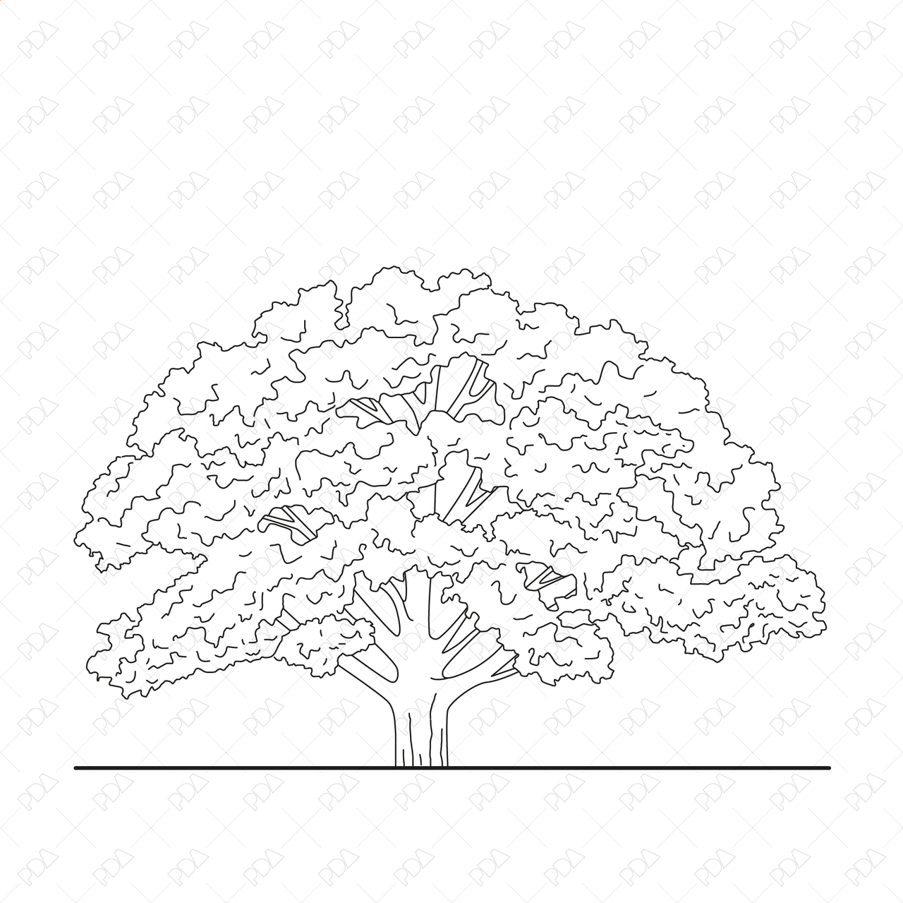 CAD & Vector European Trees & Plants Set