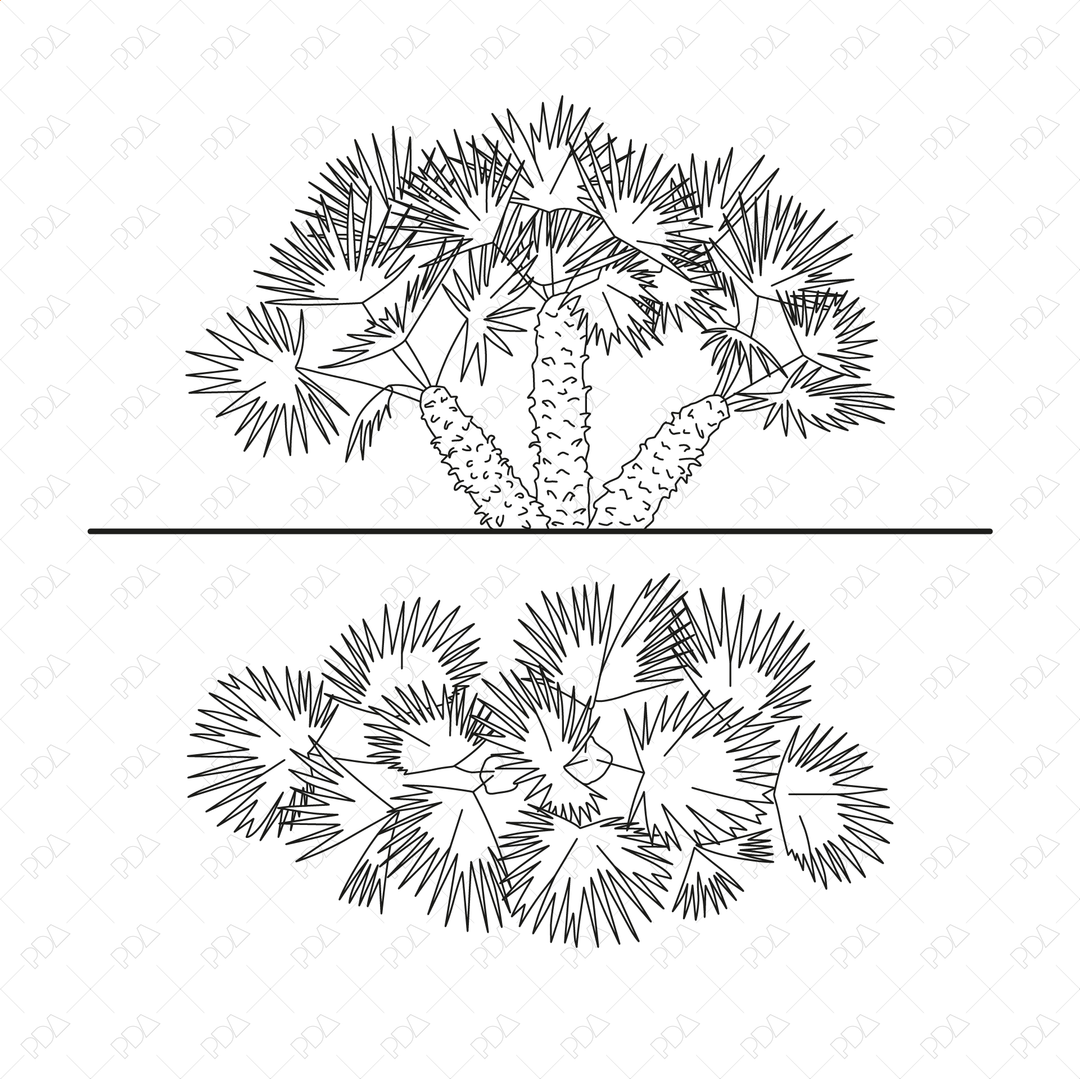 CAD, Vector Tropical Plants Set (Top + Side view)