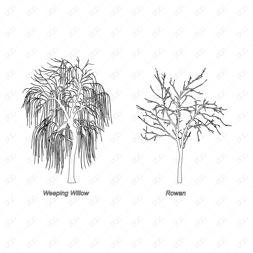 CAD & Vector Line Art Trees - Side View