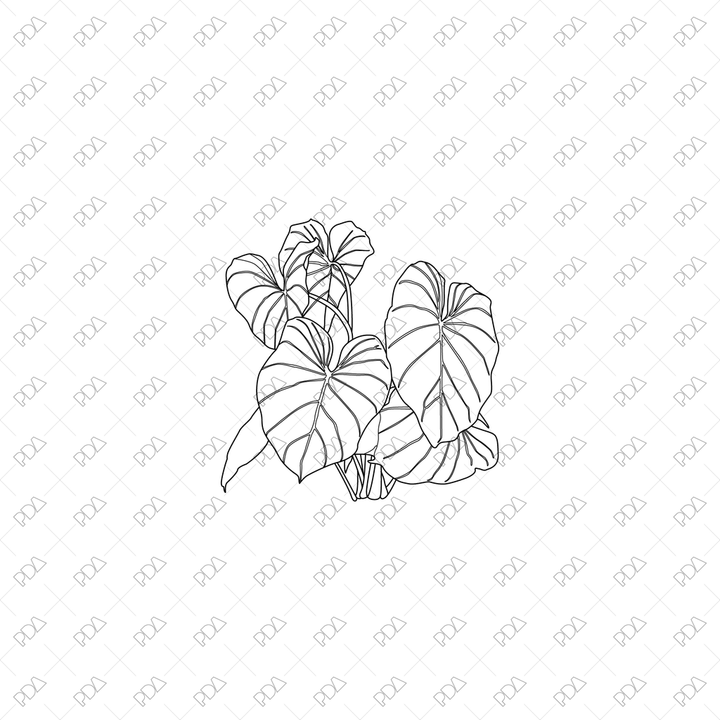 CAD, Vector, PNG Large Leaves Plants Pack