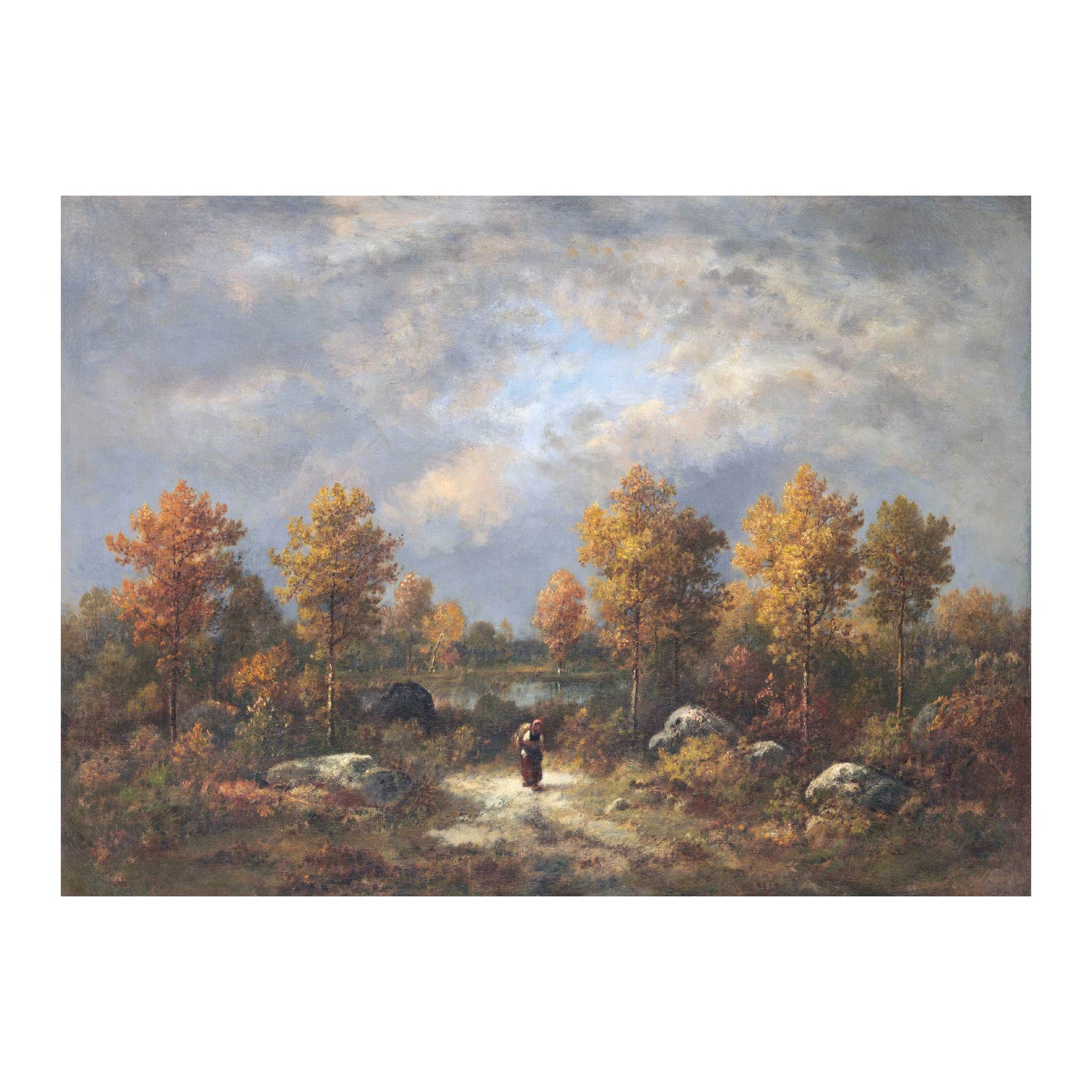 Forest and Woods Scenes Backgrounds Set (High Resolution) – Post ...