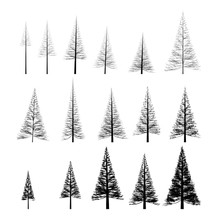 PNG Cone Shaped Trees Silhouettes Set | Post Digital Architecture