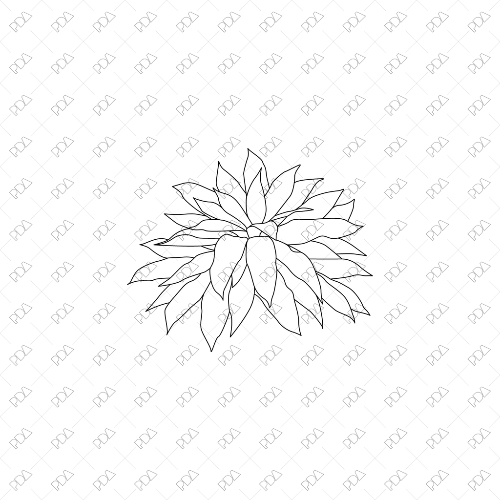 Large Leaves Plants Multi-Pack - CAD & Vector
