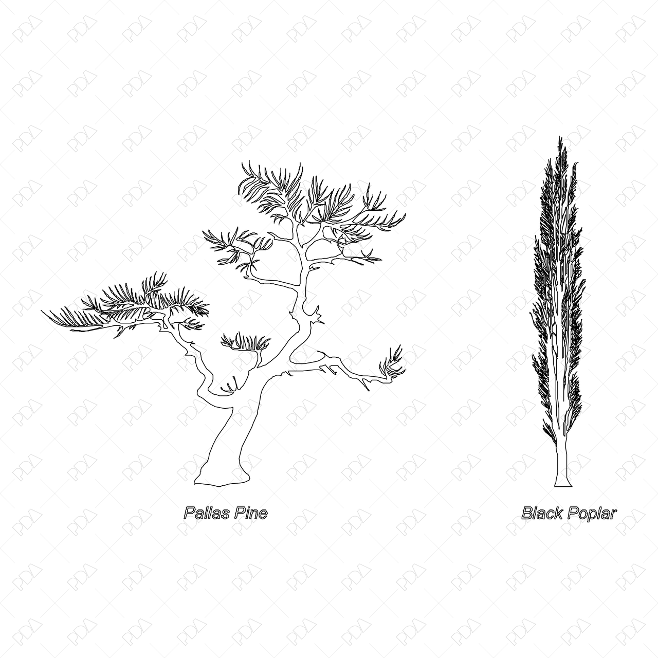 CAD & Vector Line Art Trees - Side View