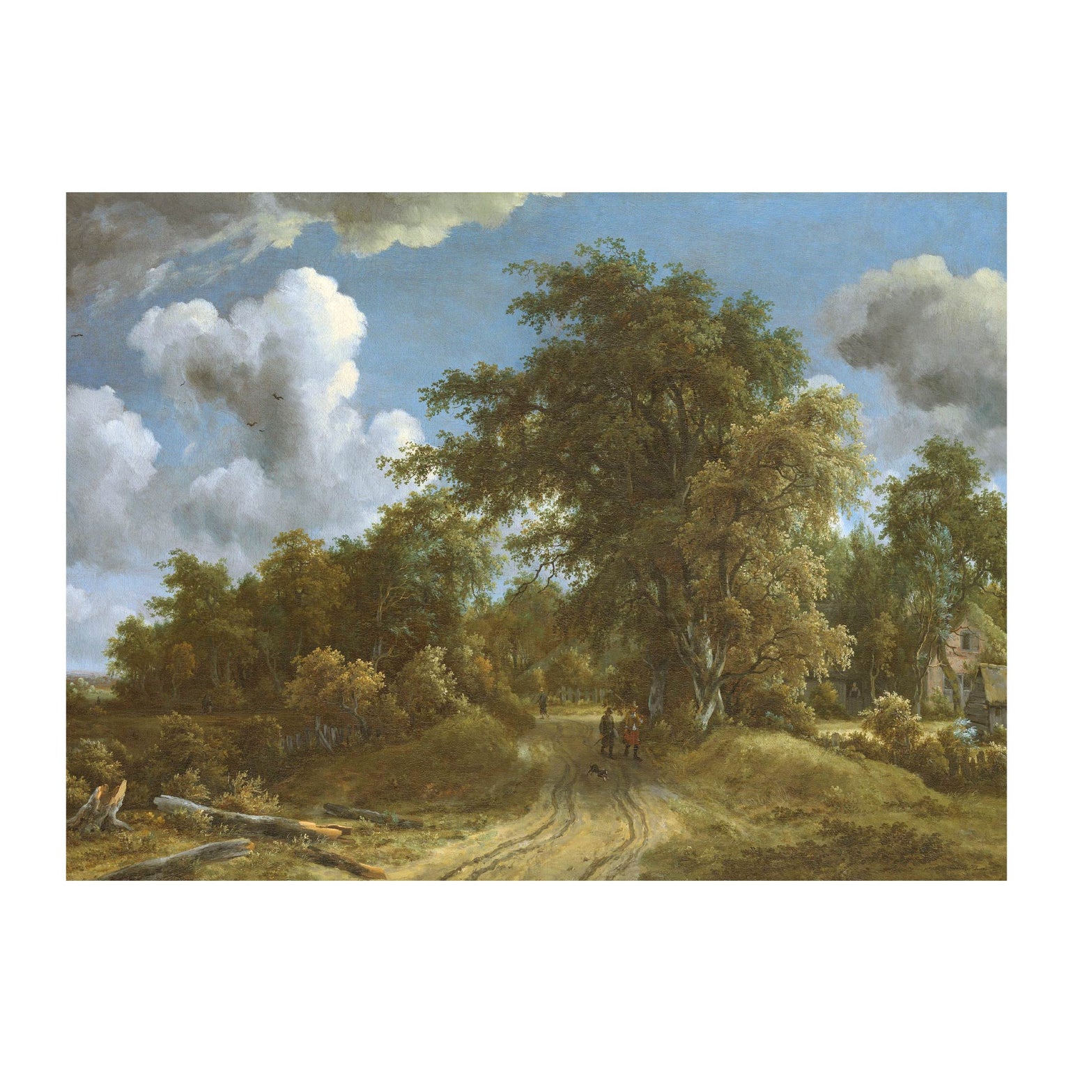 Forest and Woods Scenes Backgrounds Set (High Resolution) | Post ...