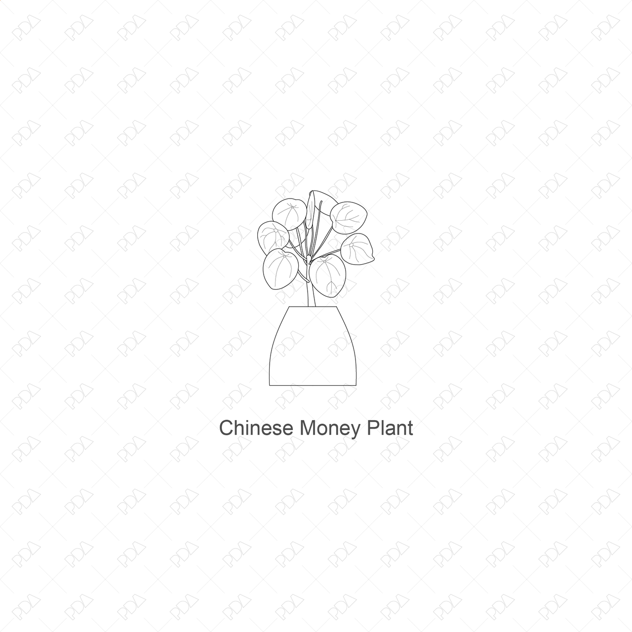 CAD, Vector Indoor Plants Set (Front view)