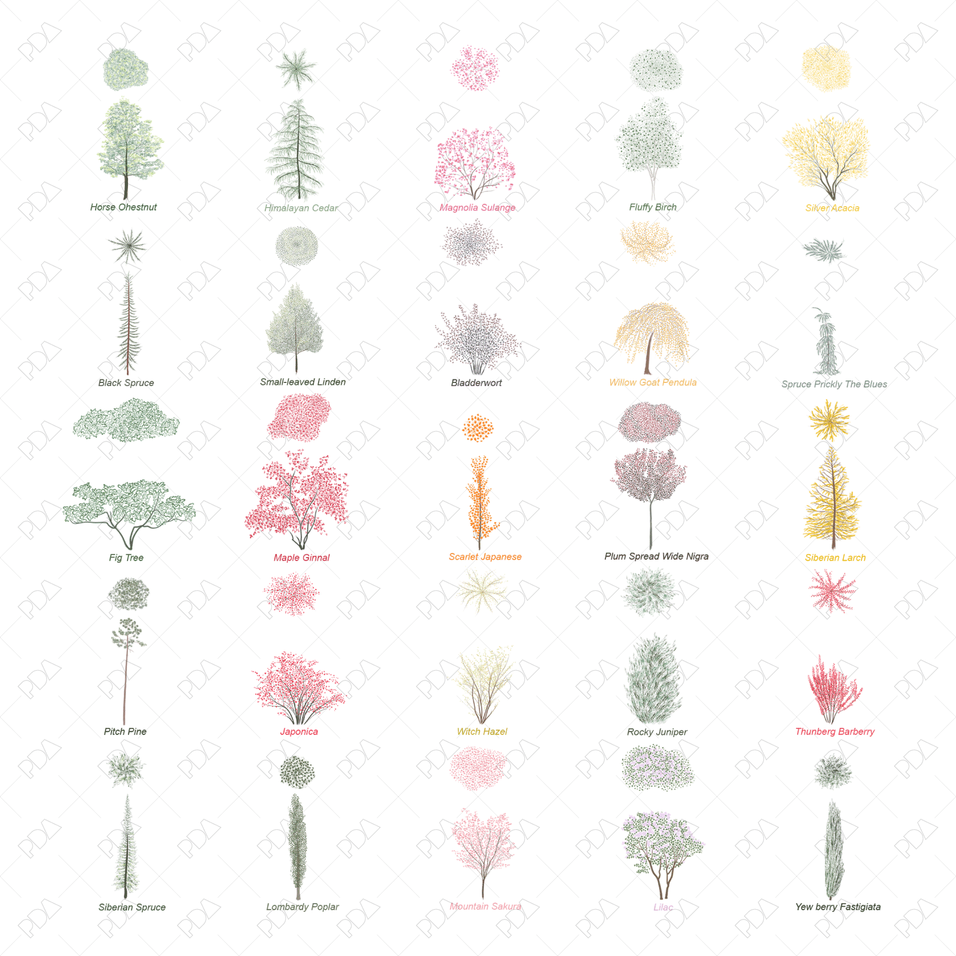 Colorful Japanese Style Trees - PNG & Vector