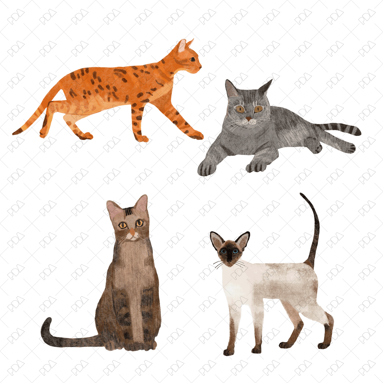 Hand Drawn Cats Set - Cute Illustrations
