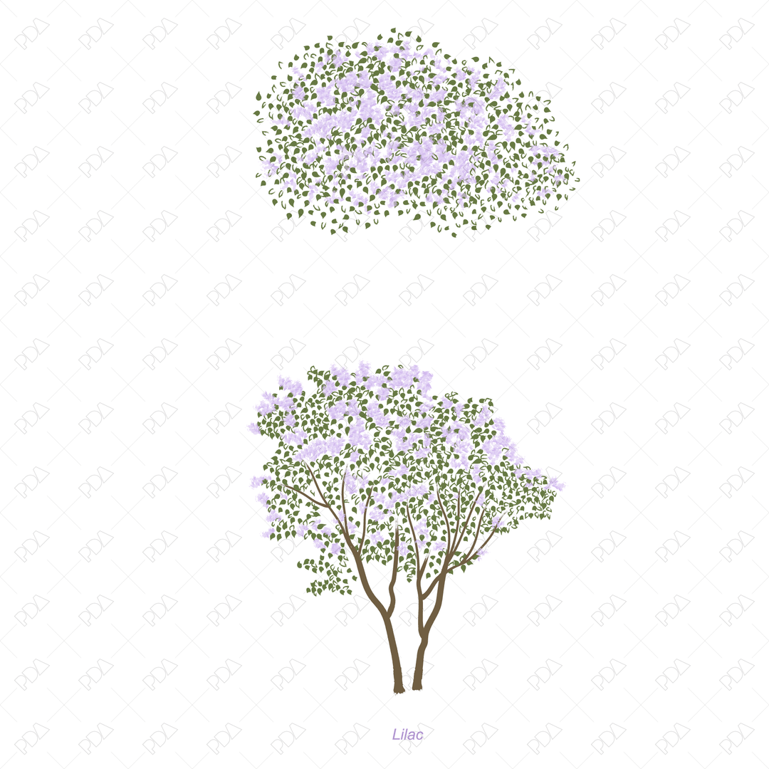 Colorful Japanese Style Trees Vectors & PNGs