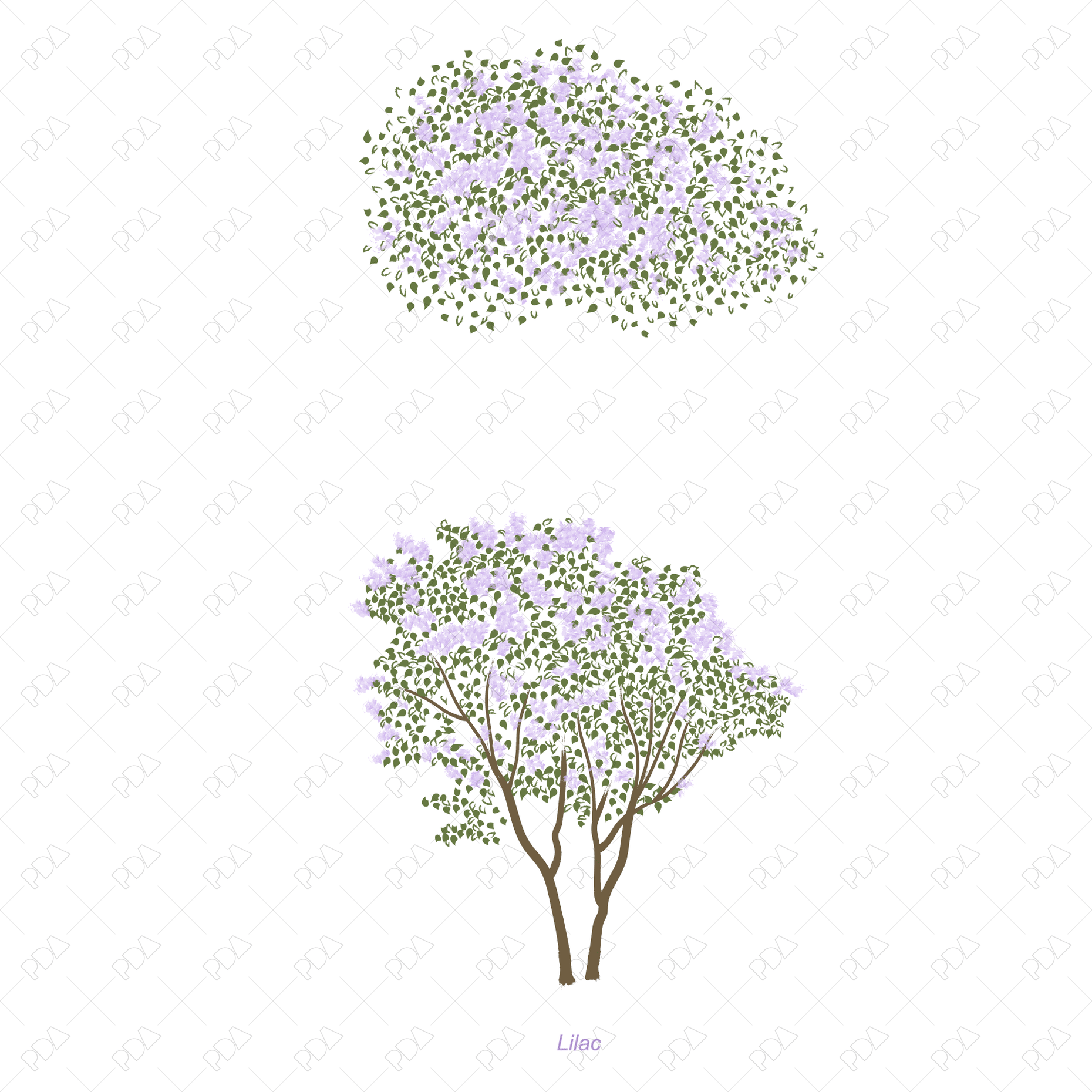 Colorful Japanese Style Trees Vectors & PNGs