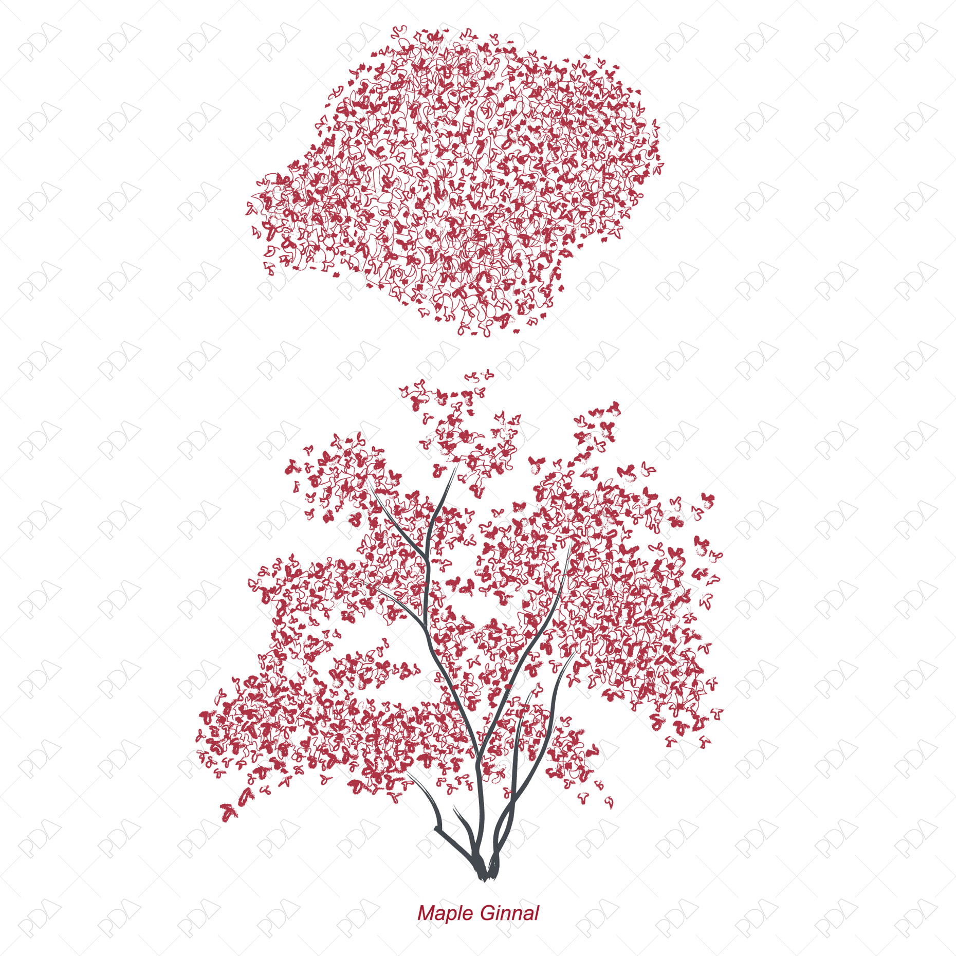 Colorful Japanese Style Trees - PNG & Vector