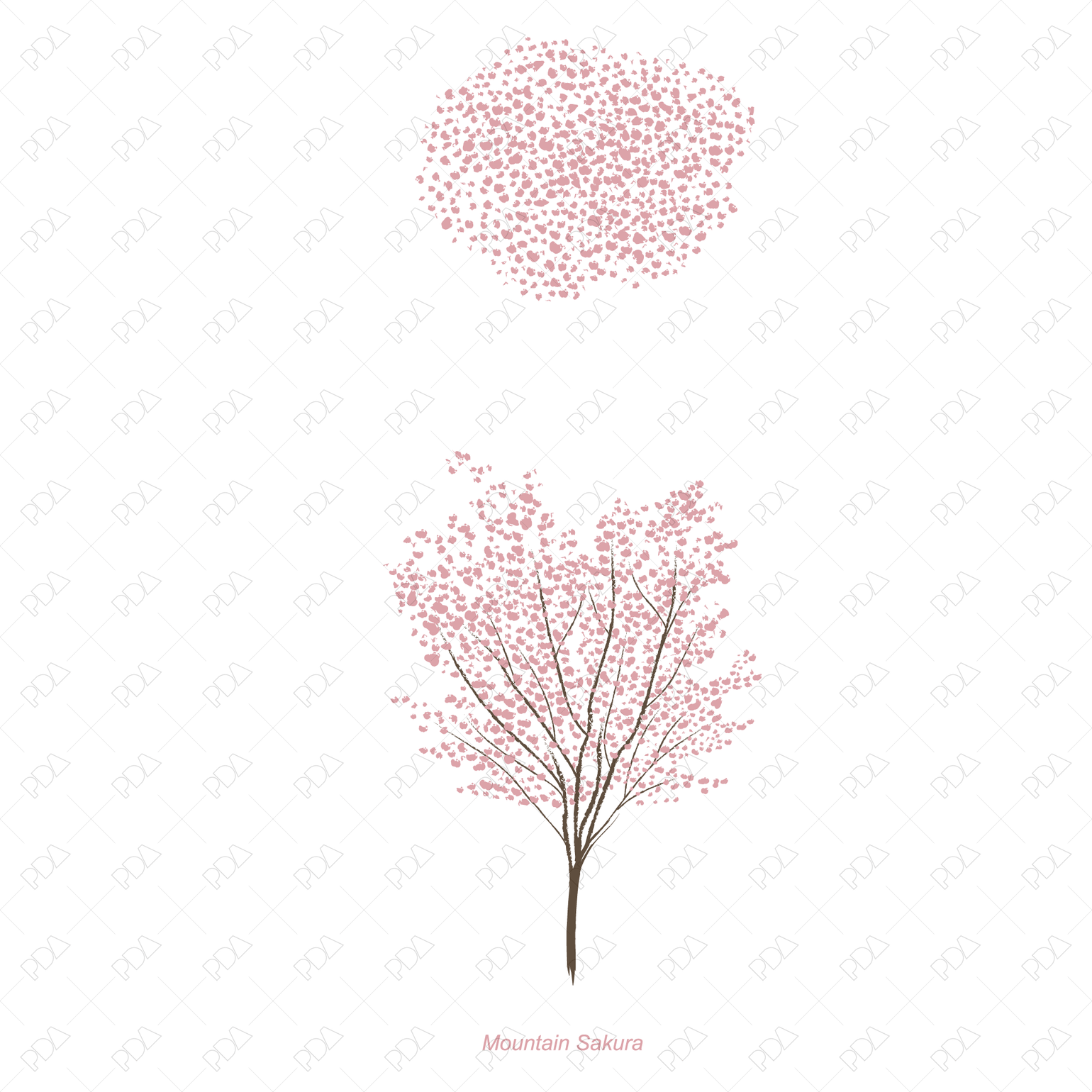 Colorful Japanese Style Trees - PNG & Vector