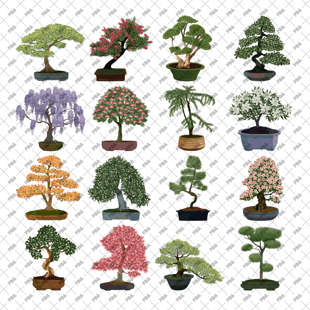 PNG Bonsai Trees Side View Set