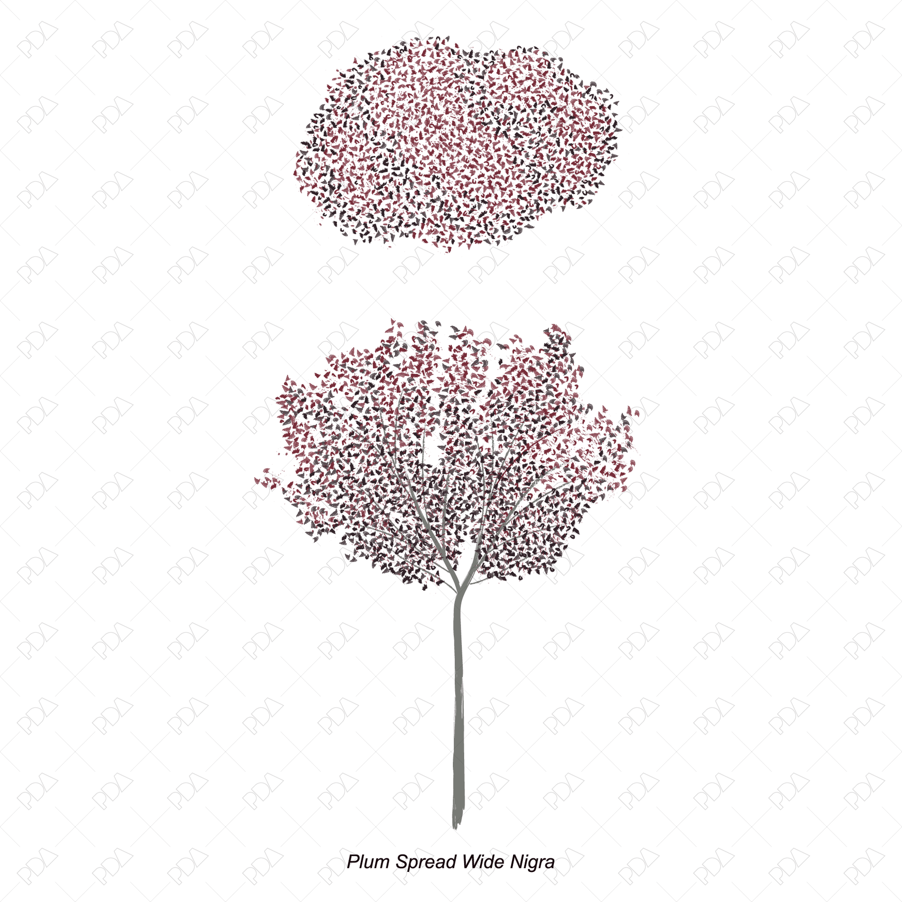 Colorful Japanese Style Trees Vectors & PNGs