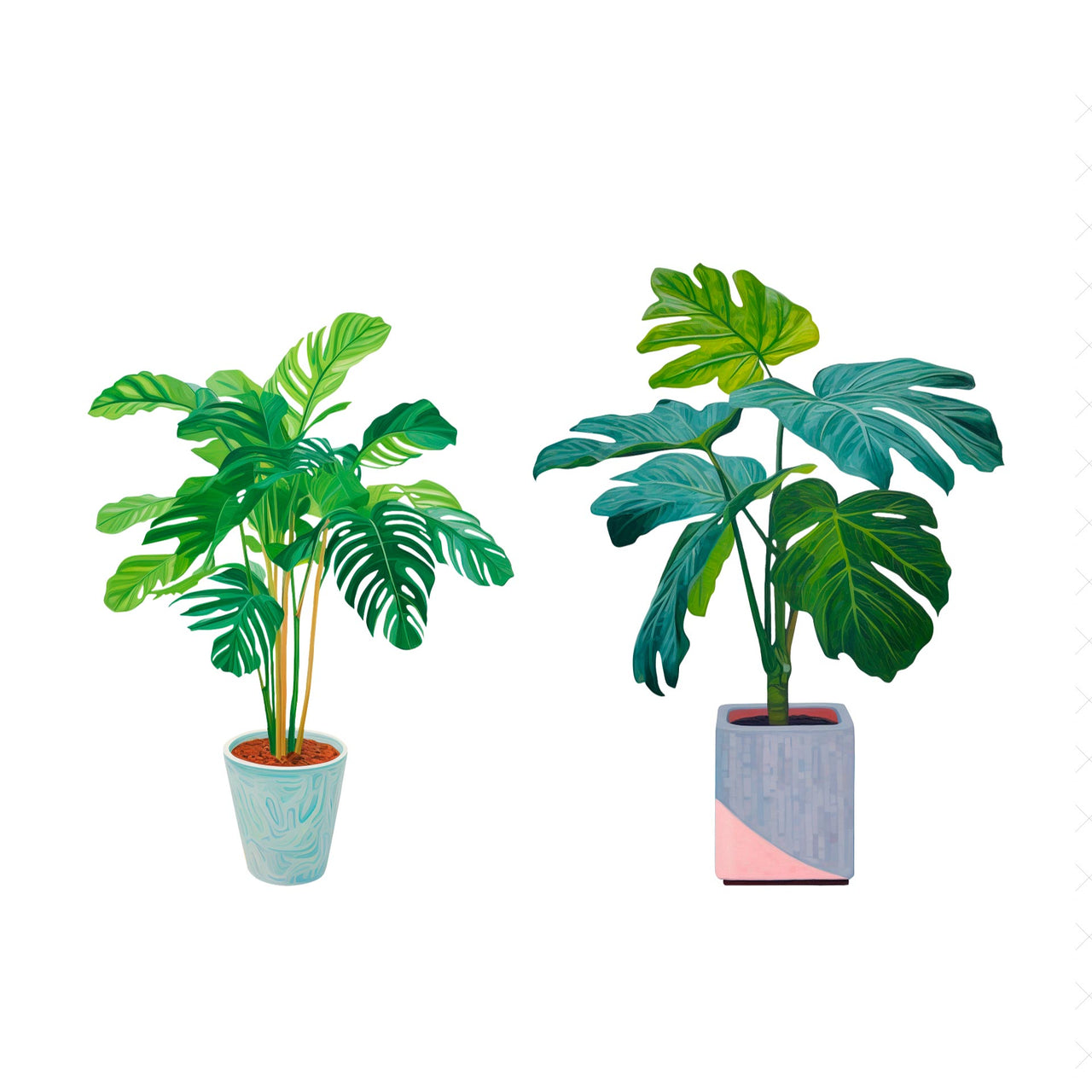 PNG Post Digital Collage Plants