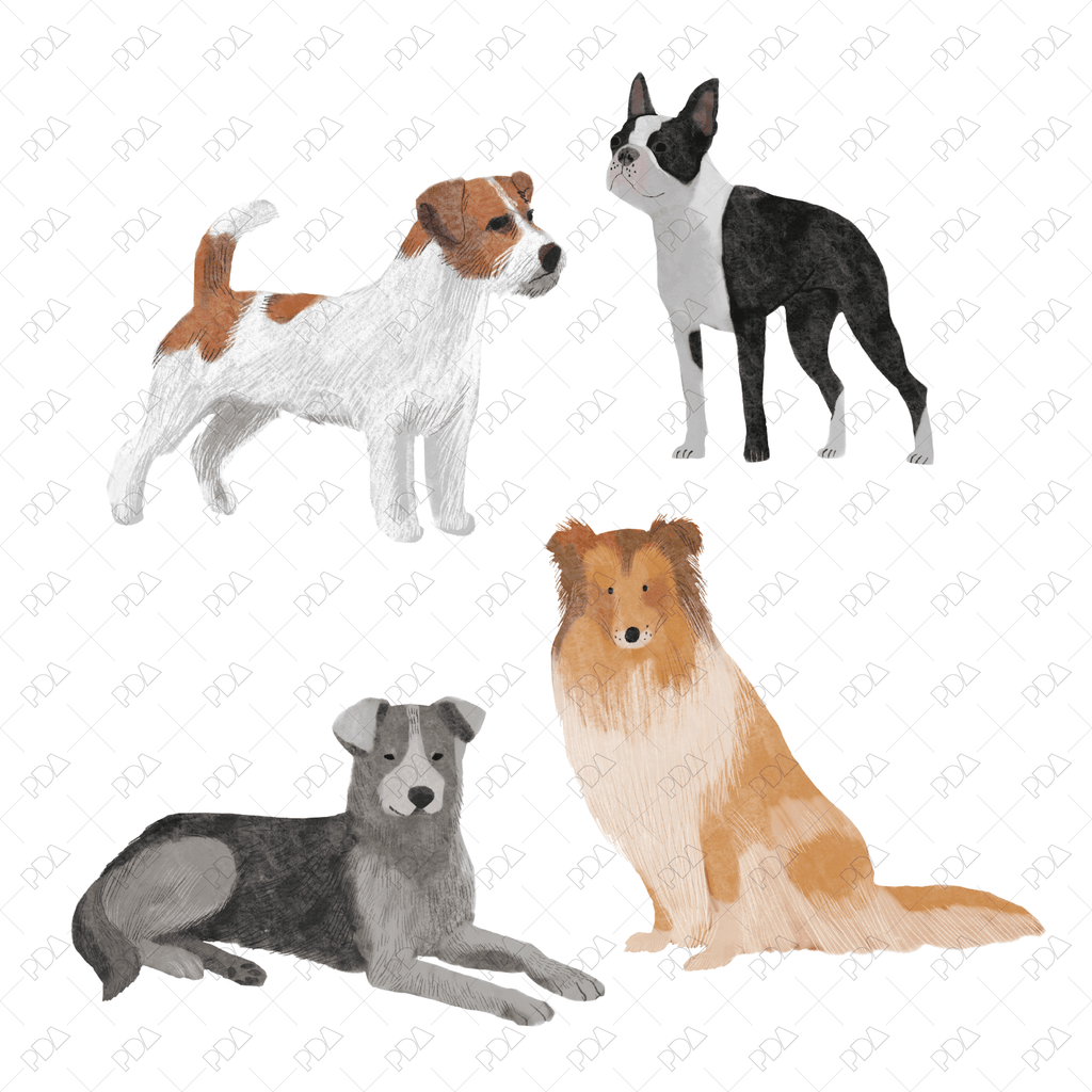 Hand Drawn Dogs Set