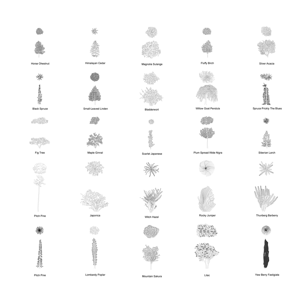 DWG & Vector Japanese Style Trees Multi-Pack (Top view + Sideview ...