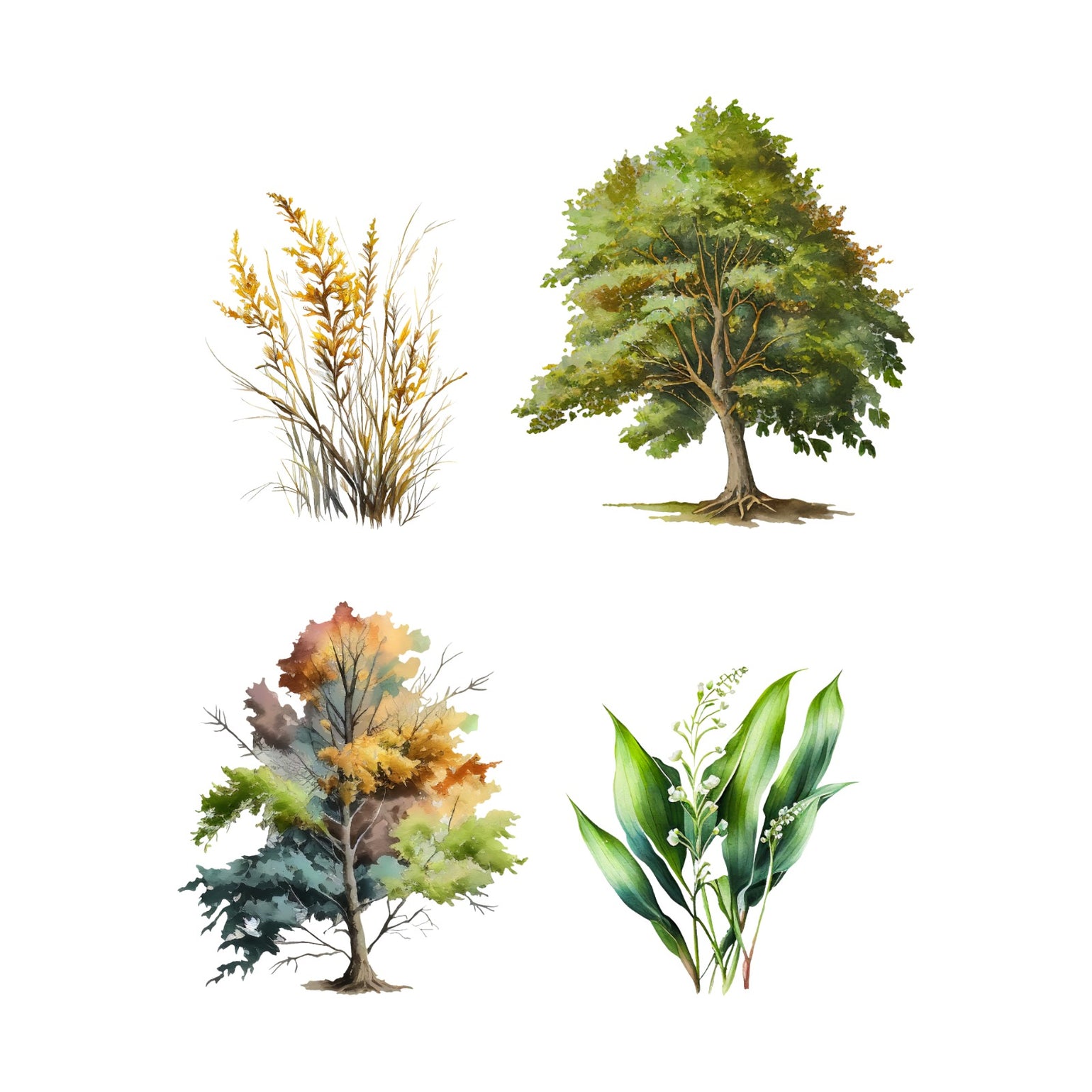 PNG Watercolor Trees and Plants Set (Front view)